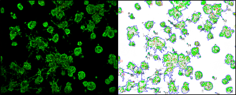 Data Analysis and Data Management – Turku Bioscience Centre